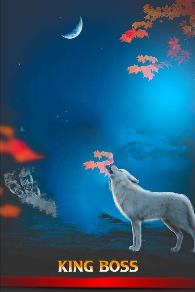 Movie Poster Background || 30+ Movie poster editing background