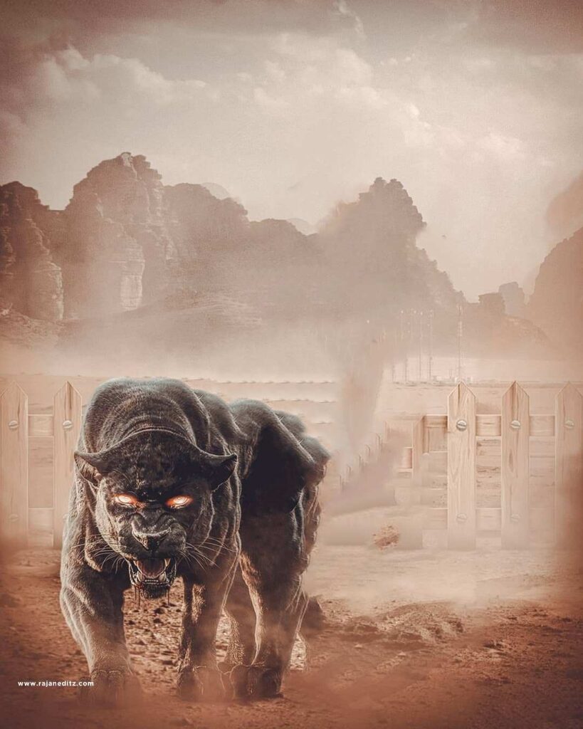 New movie poster backgrounds free download free