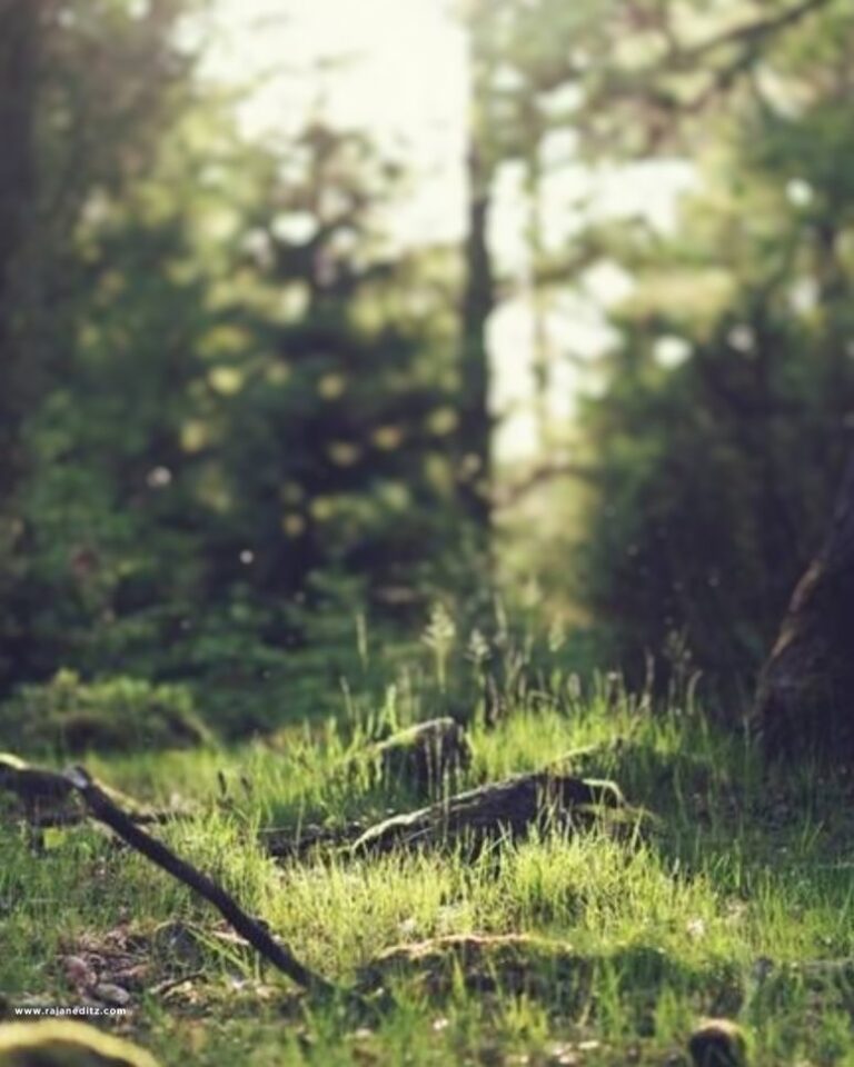 Hd editing background | Free editing backgrouunds download