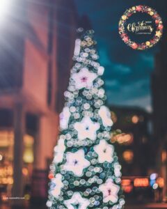 Christmas editing background | Merry christmas editing backgrounds
