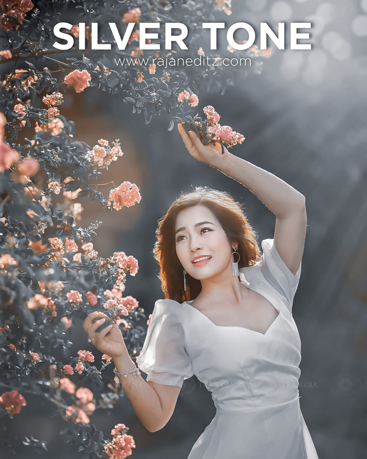 Lightroom silver tone preset | Lightroom mobile silver tone preset ...