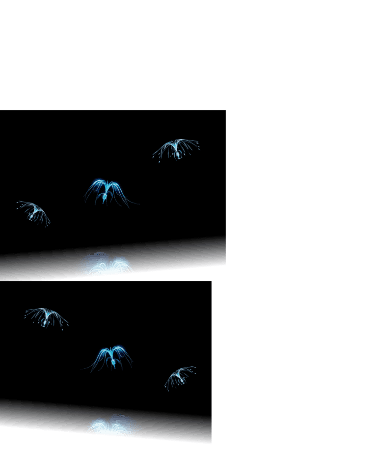 Avatar 2 editing background | Picsart avatar poster editing background ...