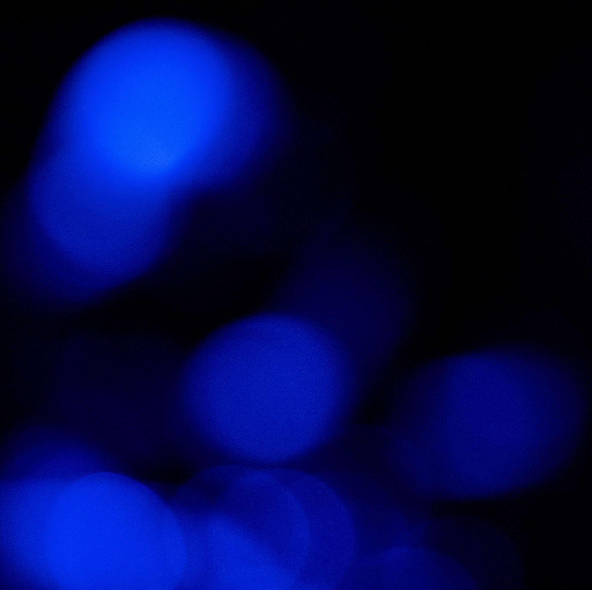 Bokeh effect png | Bokeh effect editing png download