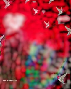 100+ CB Background HD Images Download Stock